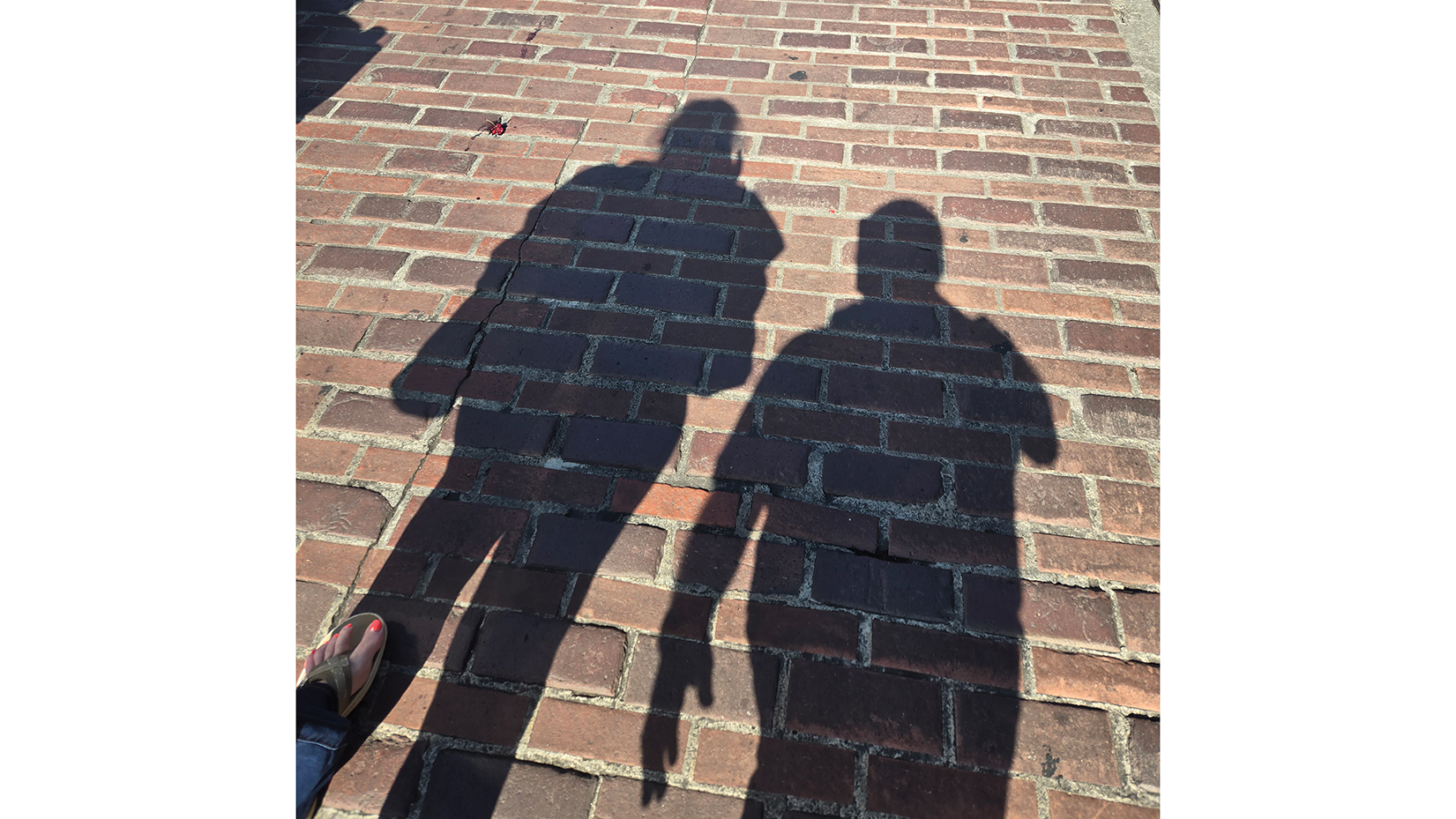 You can only see shadows in the light | Daily Leader